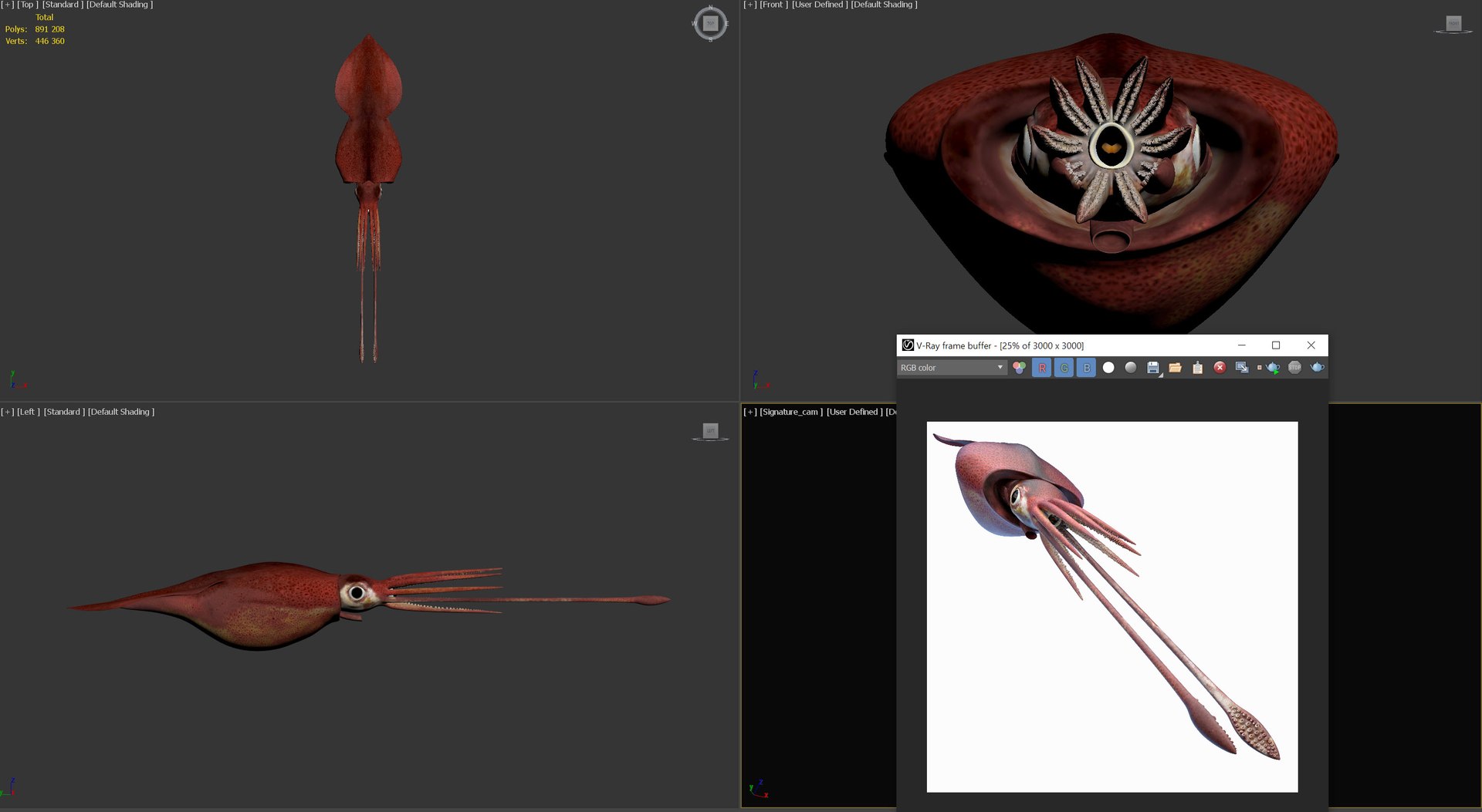 3D Colossal Squid Model - TurboSquid 1960831