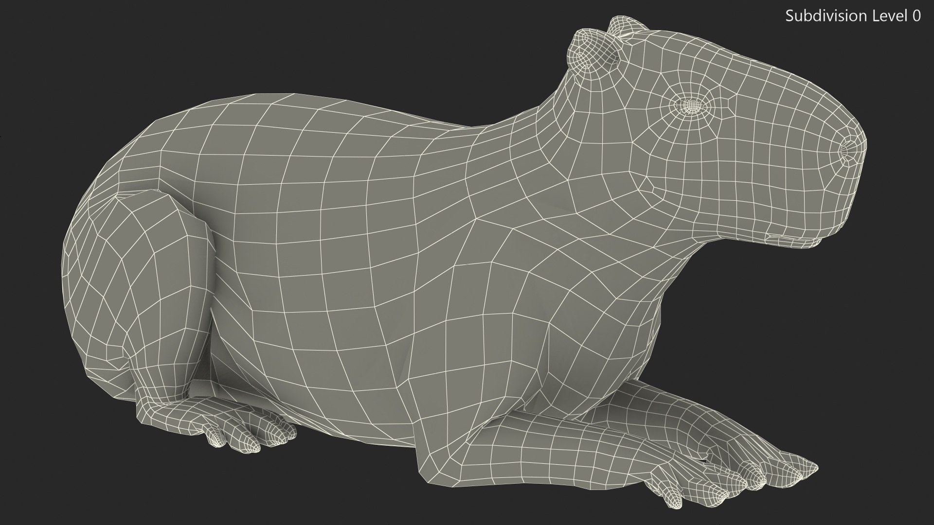 3D Capybara Lying Pose Fur Model - TurboSquid 1943504