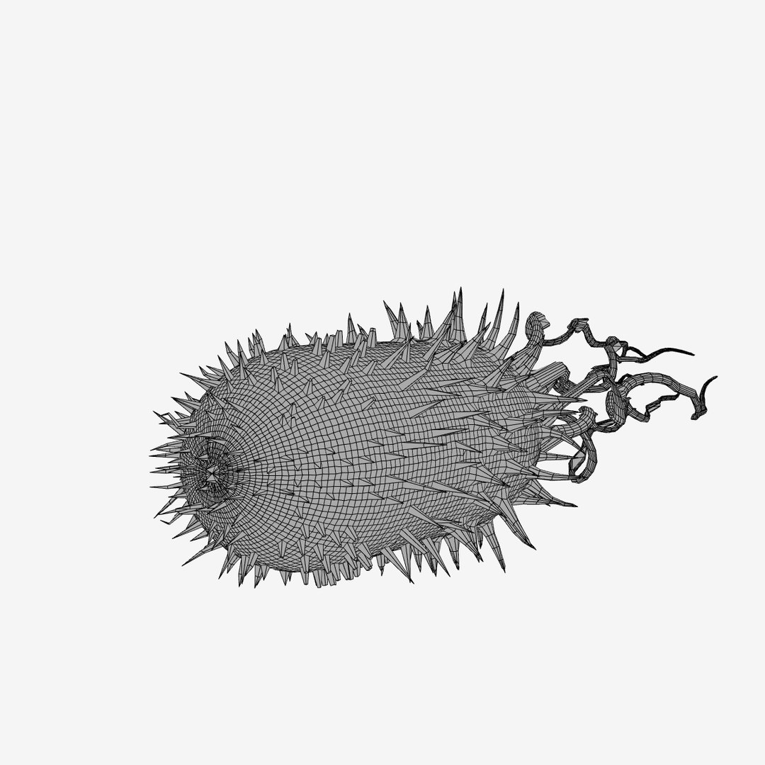 3d Bacterium Flagellae