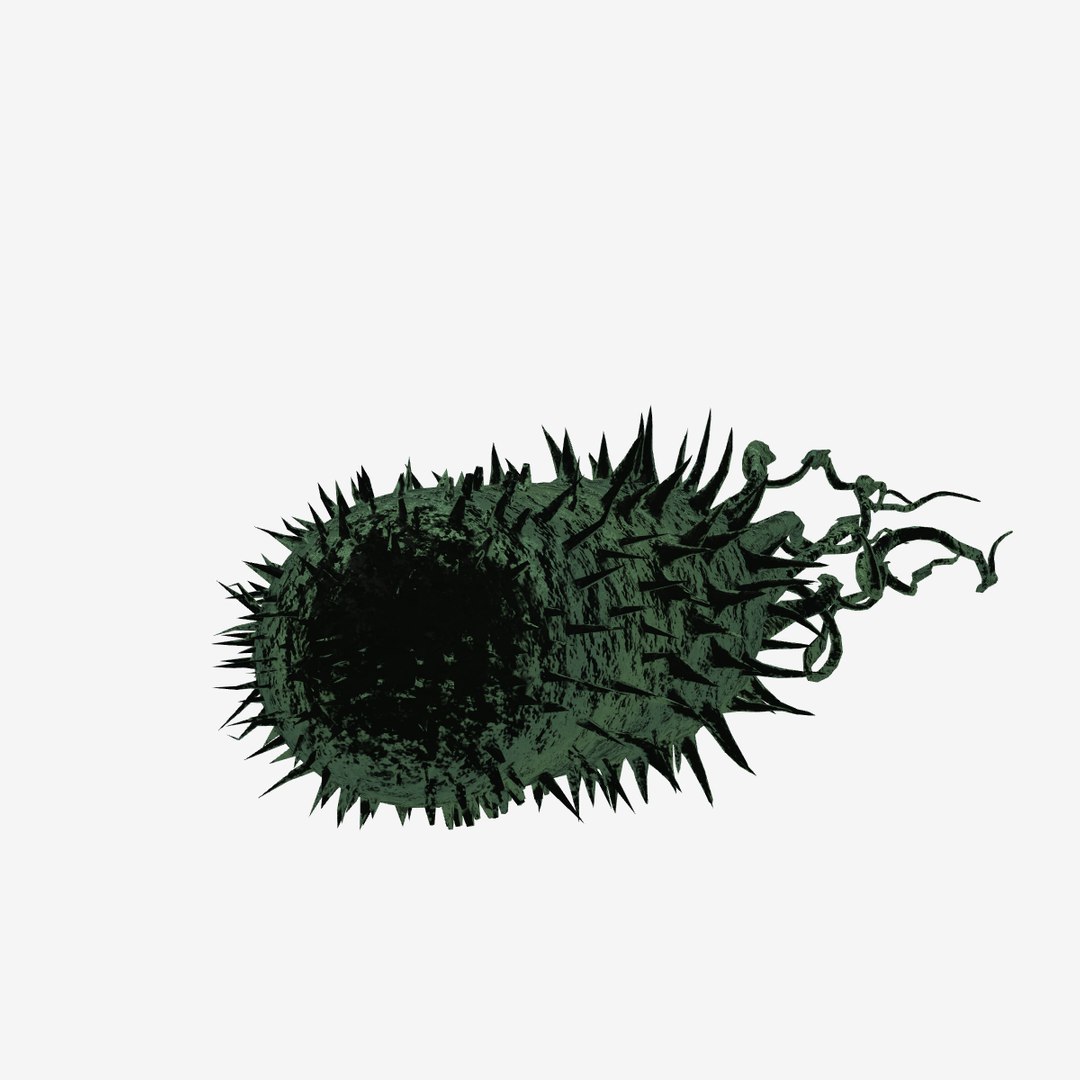 3d bacterium flagellae