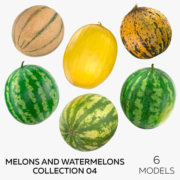 Watermelon 3D Models for Download | TurboSquid
