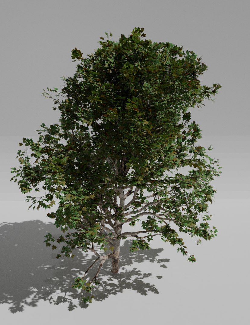 3D green tree - TurboSquid 1484925