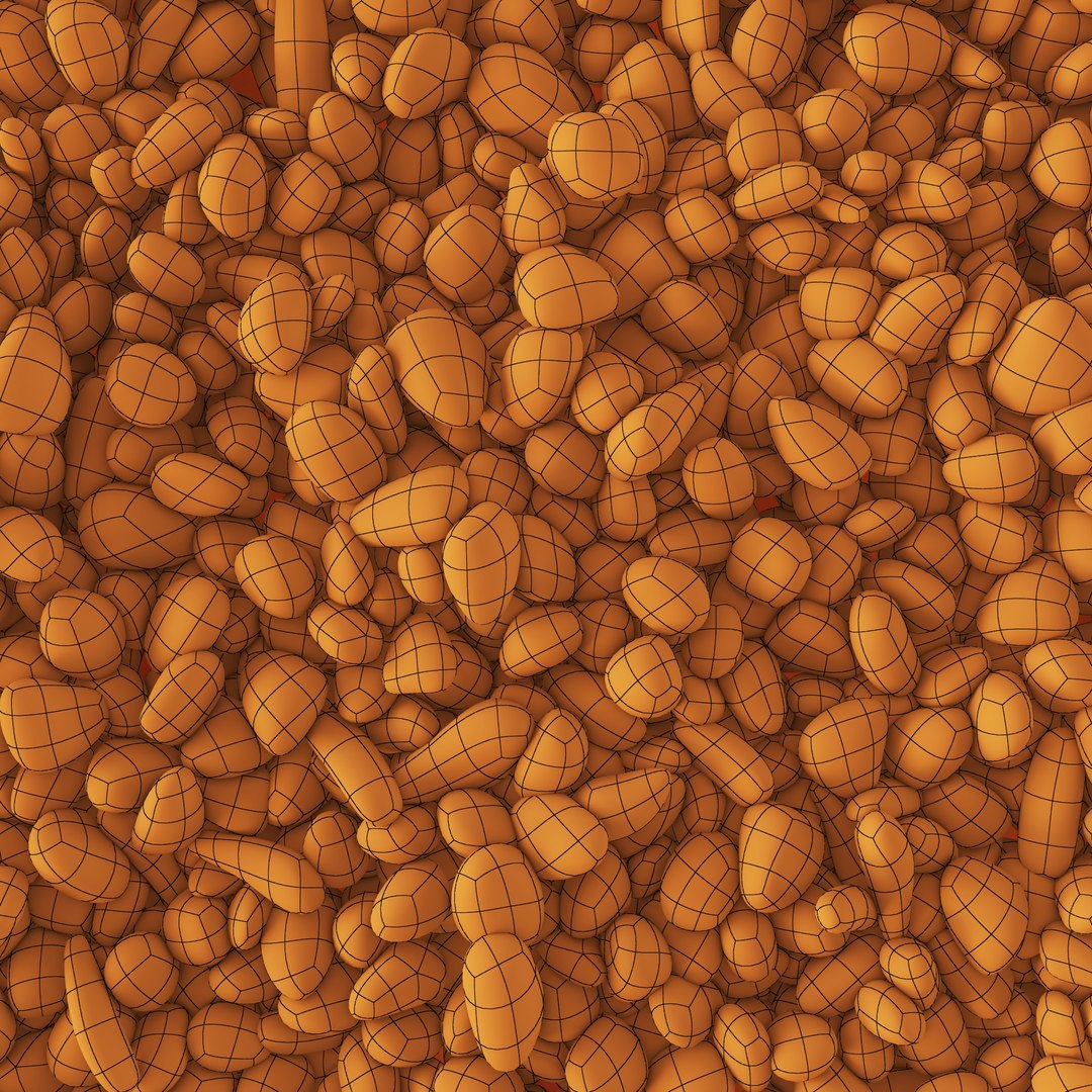 Pebble n32 model - TurboSquid 2164514