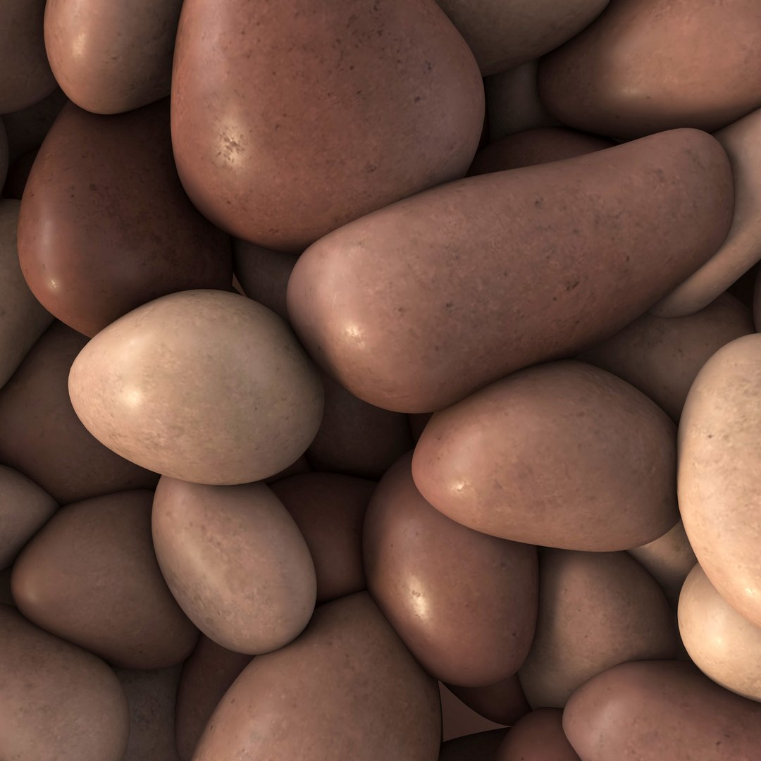 Pebble n32 model - TurboSquid 2164514