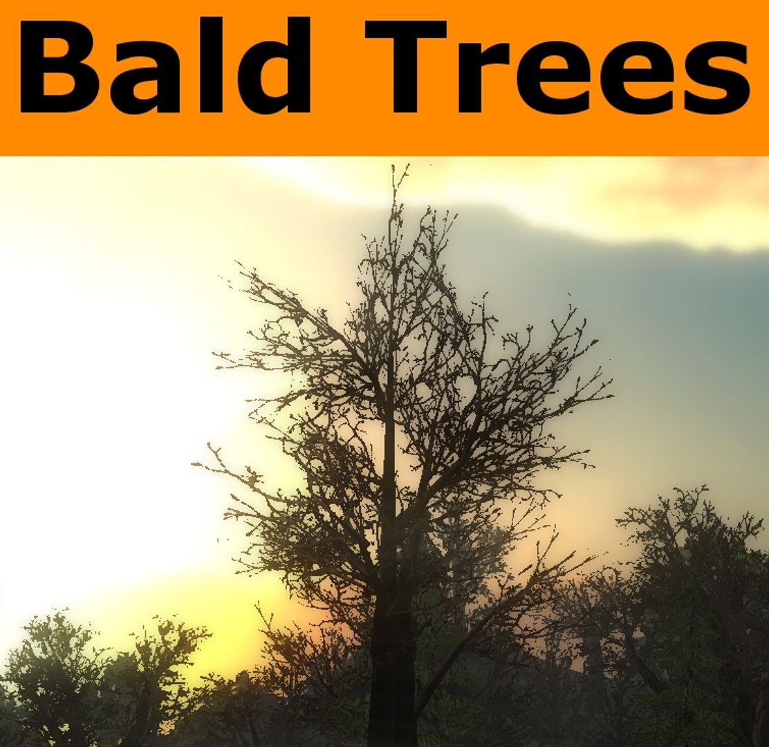 ready bald tree pack 3d model