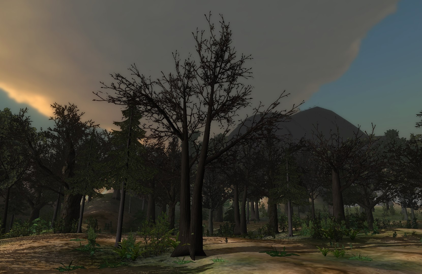 ready bald tree pack 3d model