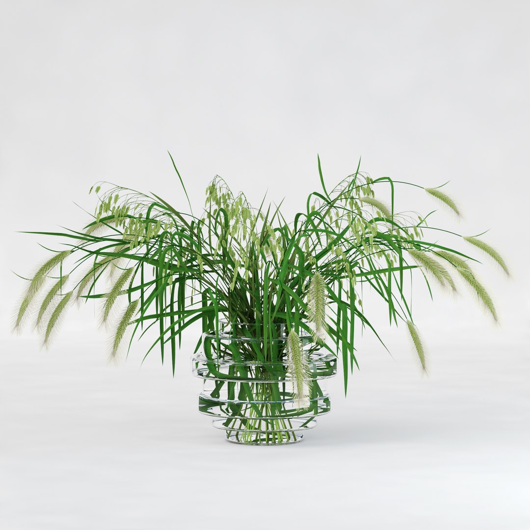 Realistic Northern Sea Oats 3D Model - TurboSquid 1304892