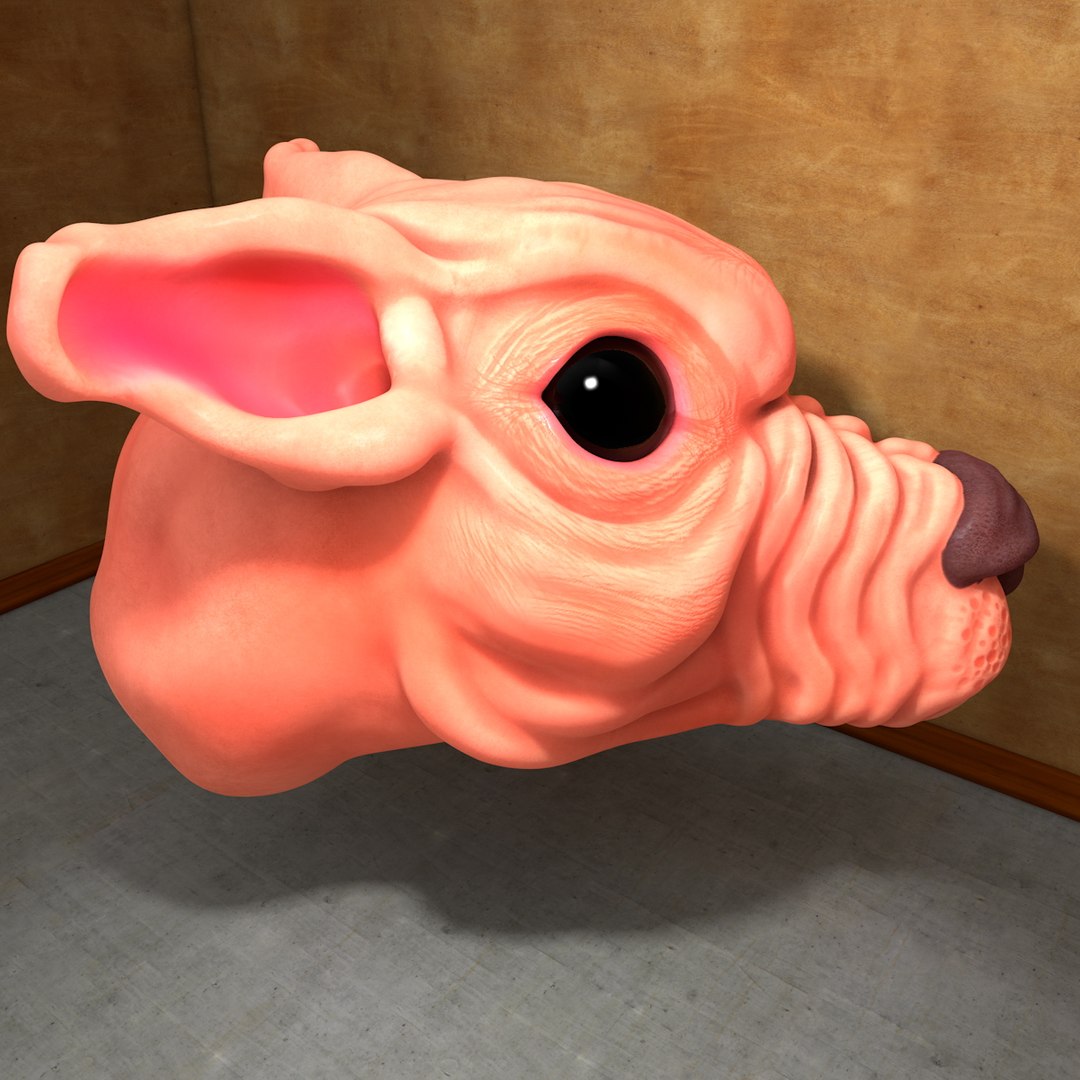 3d model head rat pig