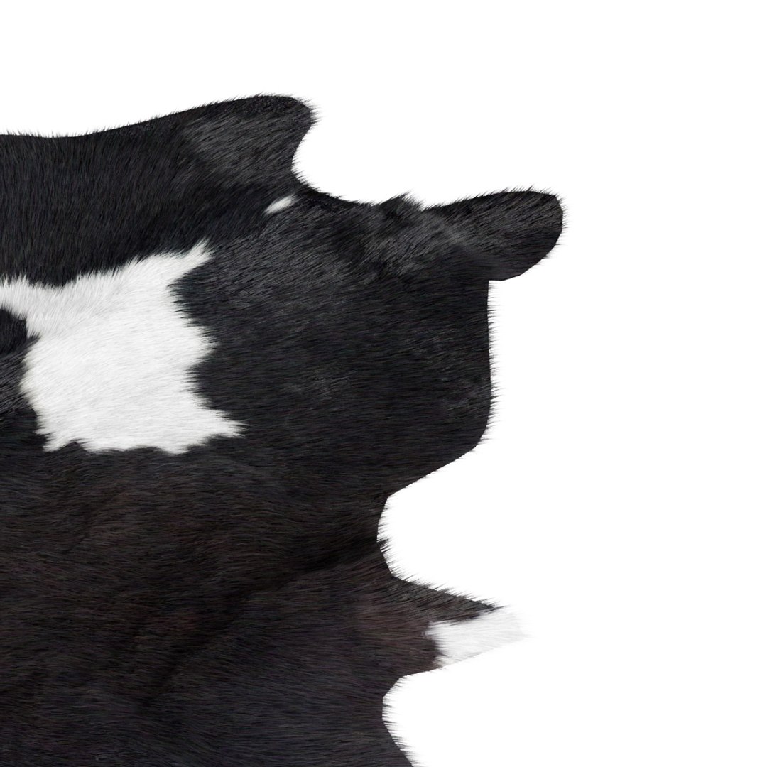 3D Animal Skin Rug 07 - TurboSquid 1778422