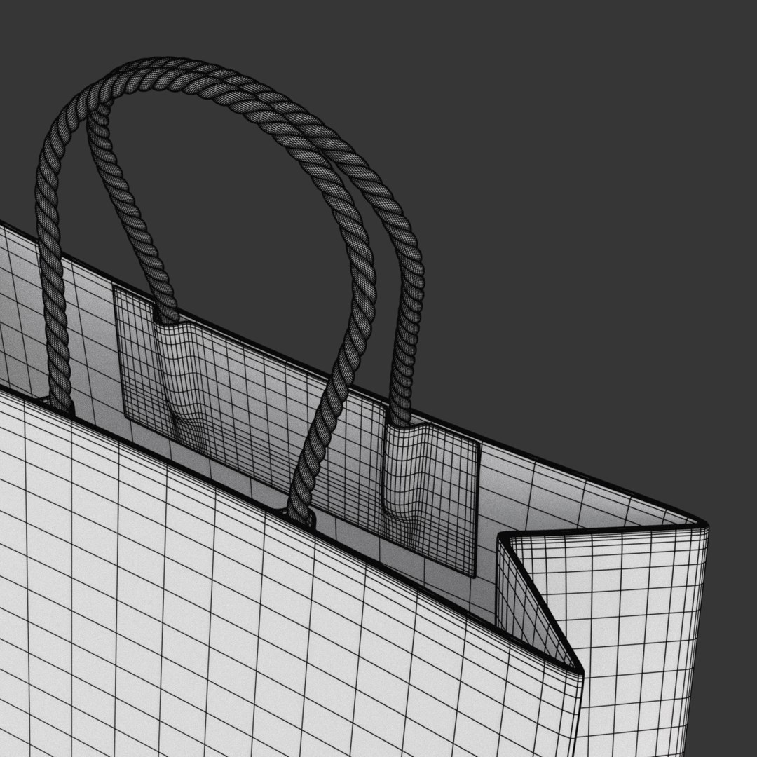 Bag Shopping Model - TurboSquid 1301149