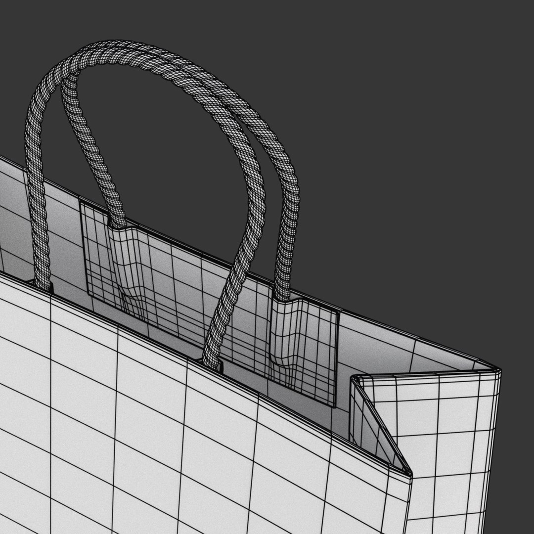 Bag Shopping Model - TurboSquid 1301149