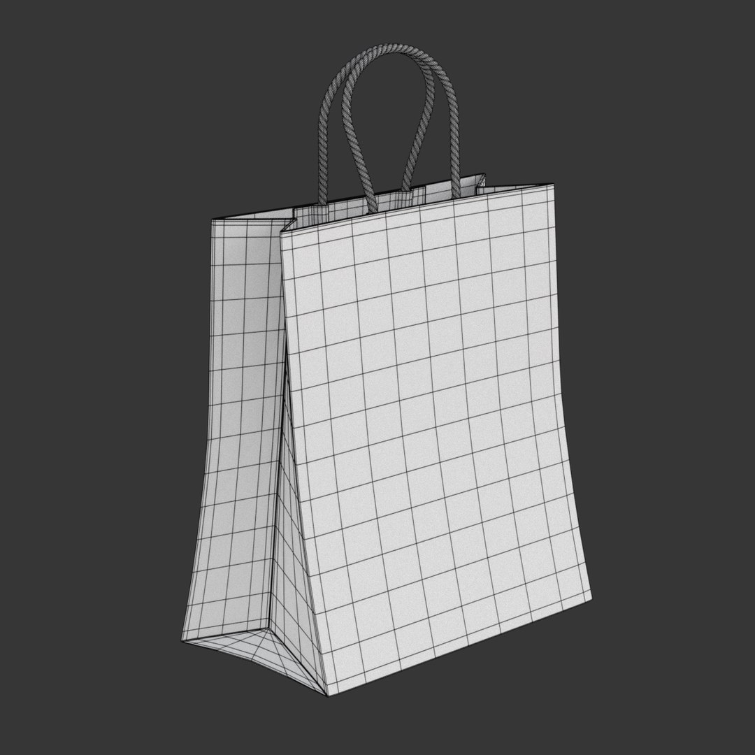 Bag Shopping Model - TurboSquid 1301149