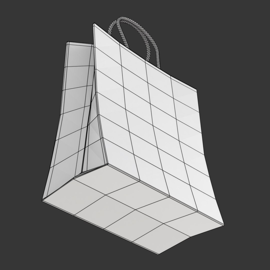 Bag Shopping Model - TurboSquid 1301149