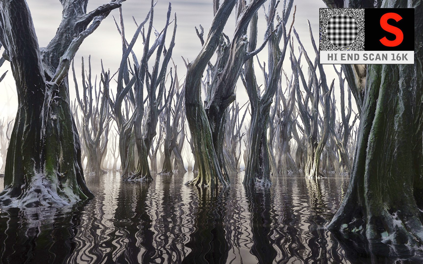 Spooky forest hd 3D model - TurboSquid 1208345