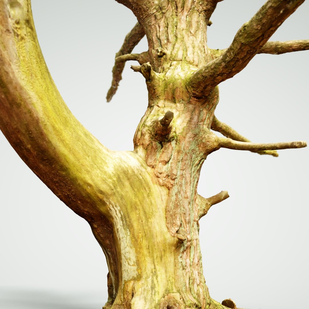 3d Model Of Environment Asset