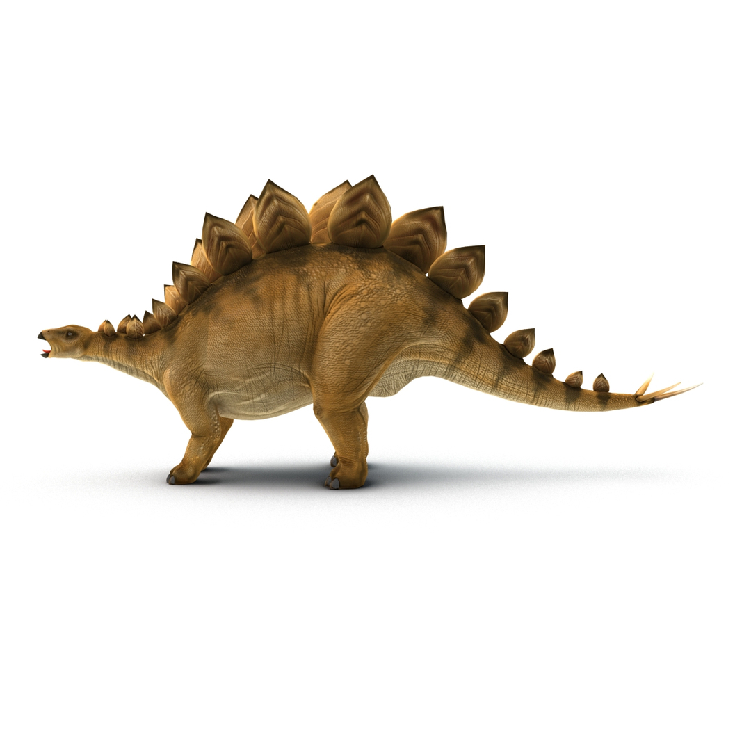 Stegosaurus Rigged 3d Model
