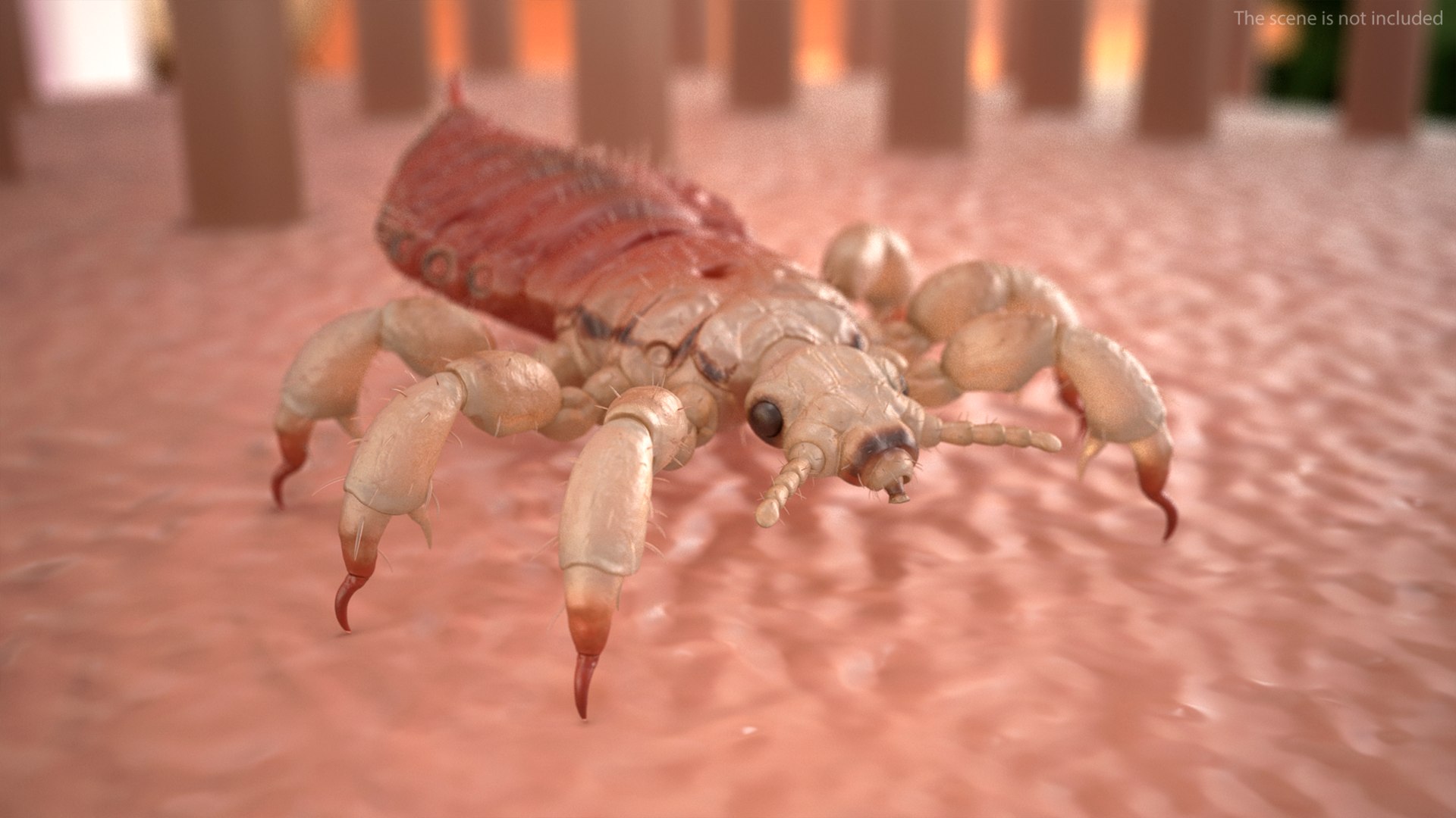 3D Head Louse Insect With Blood - TurboSquid 2287228