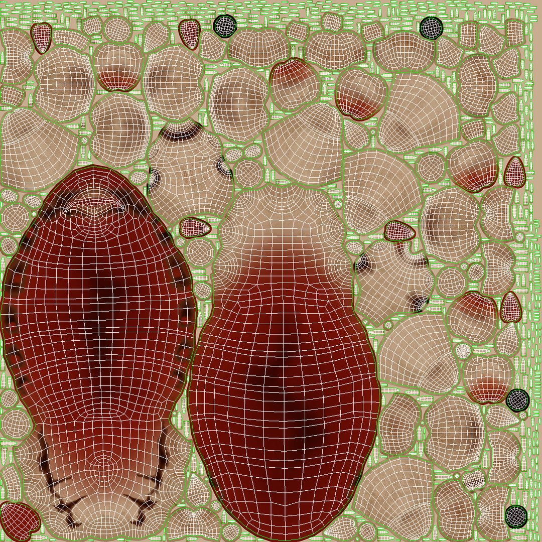 3D Head Louse Insect With Blood - TurboSquid 2287228