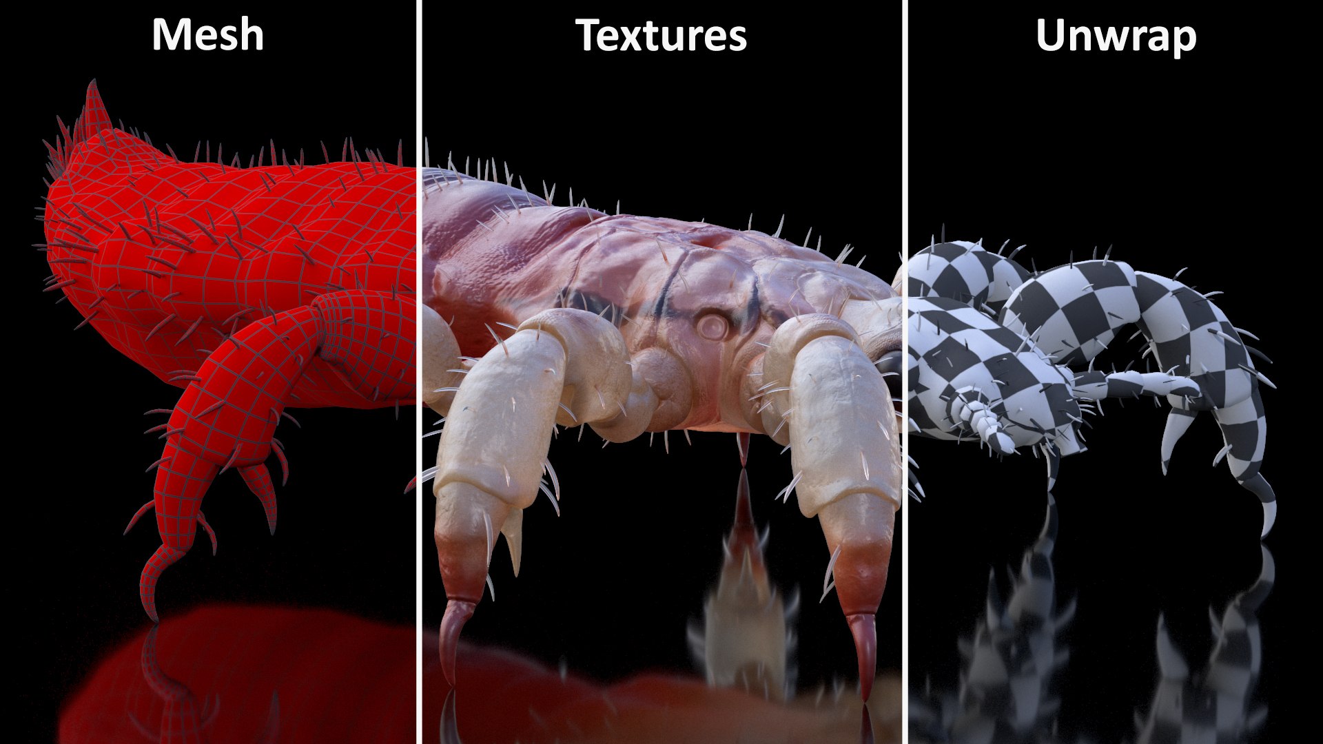 3D Head Louse Insect With Blood - TurboSquid 2287228