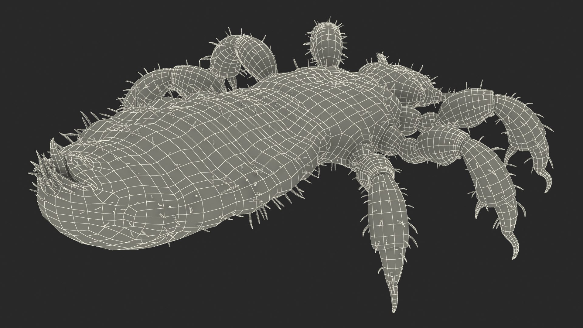 3D Head Louse Insect With Blood - TurboSquid 2287228