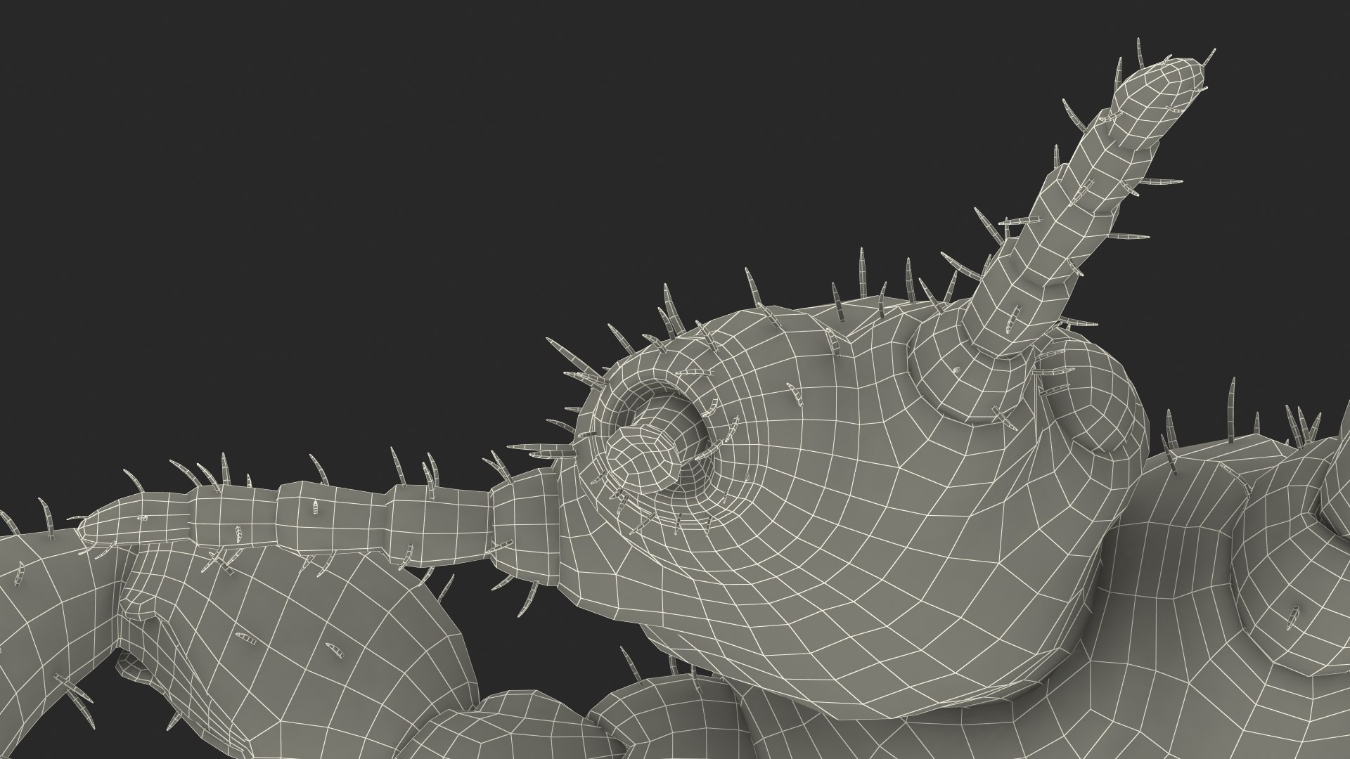 3D Head Louse Insect With Blood - TurboSquid 2287228