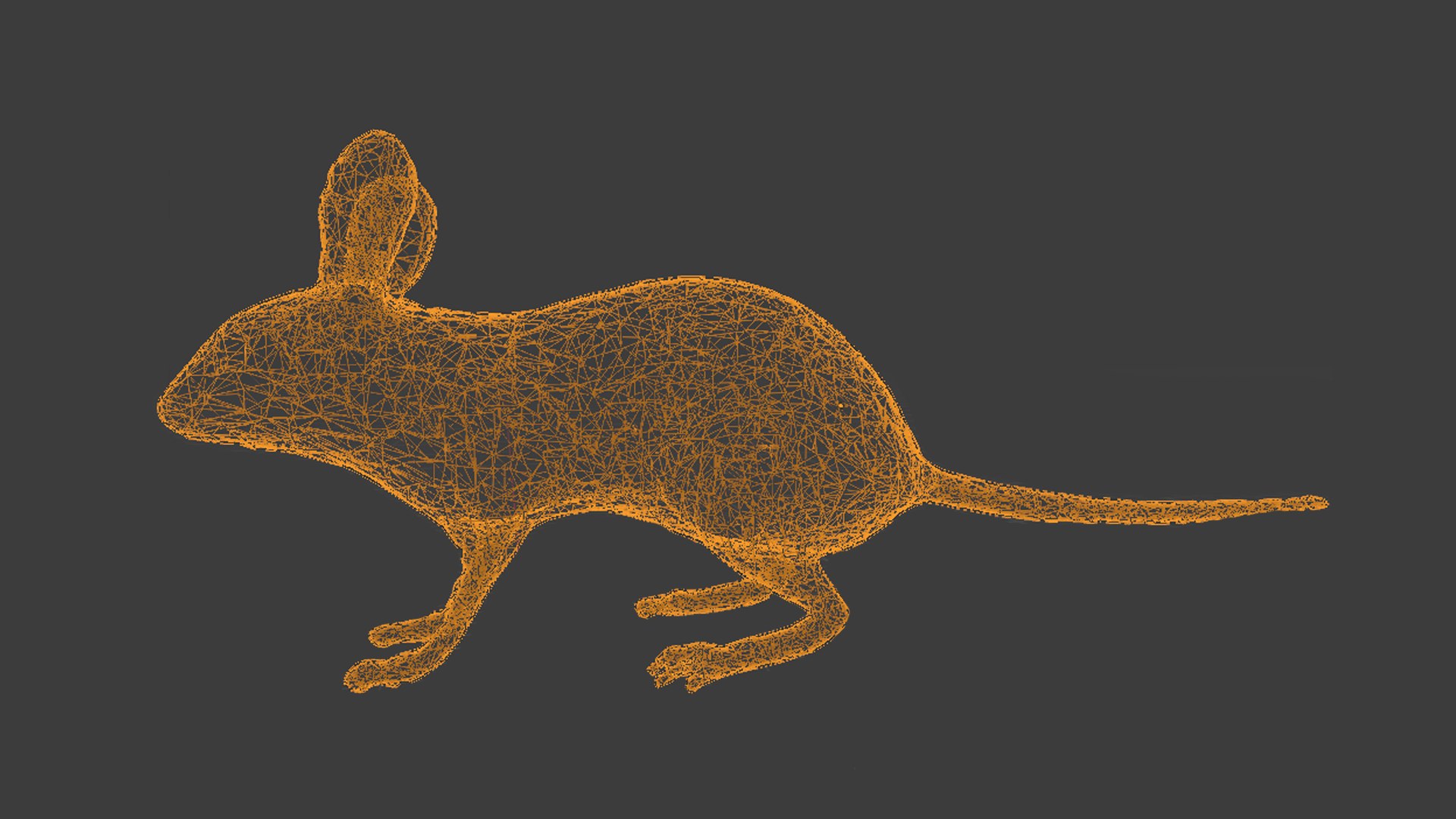 Rare Desert Mouse Jerboa 3D Model - TurboSquid 2315916