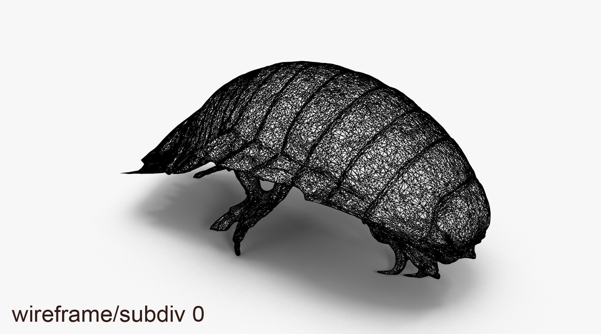 3d isopod scan