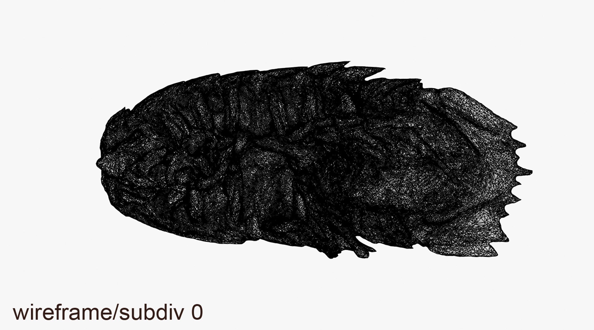 3d isopod scan