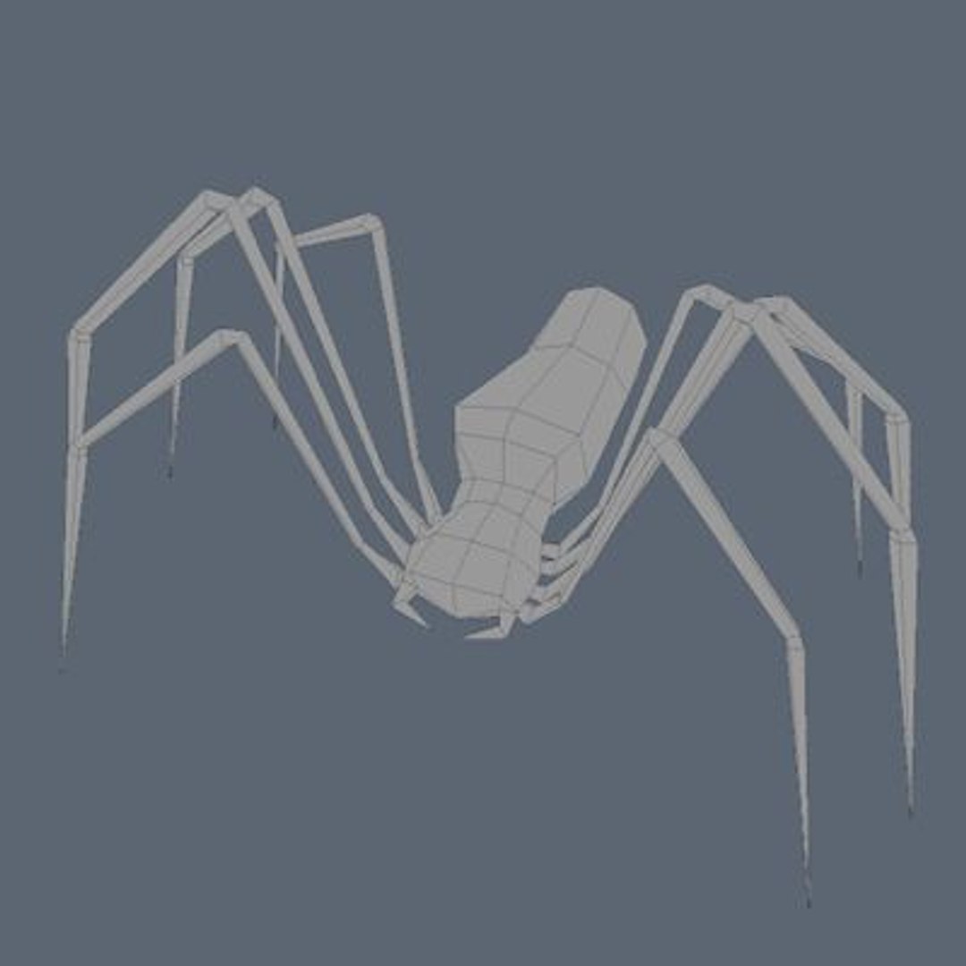 3d Model Spider Arachnid