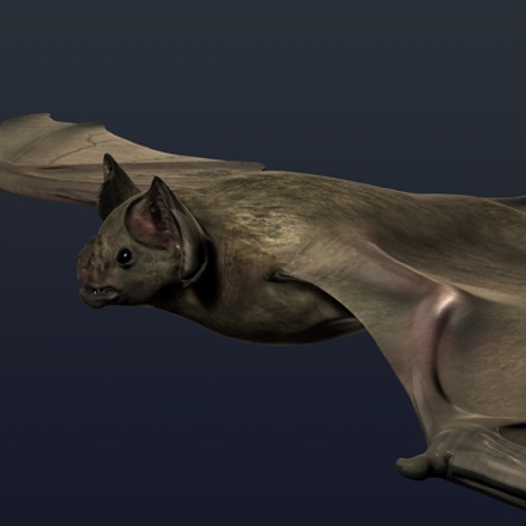3d Model Vampire Bat