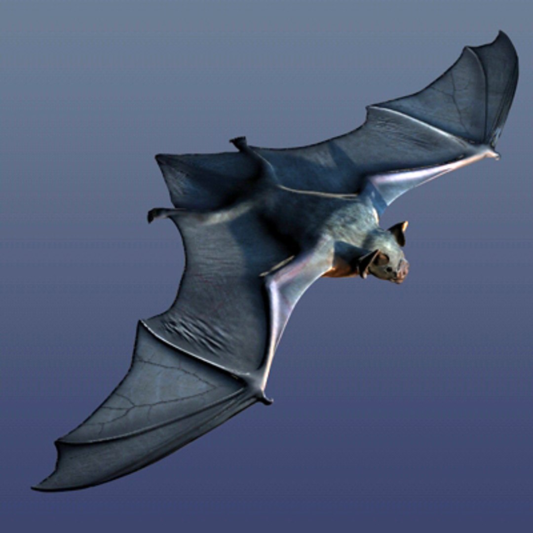 3d Model Vampire Bat