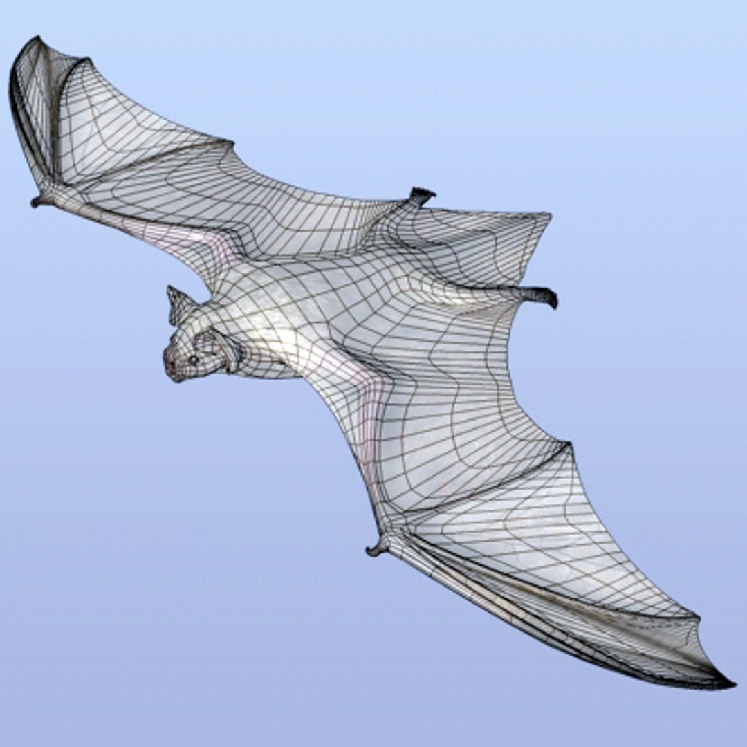 3d Model Vampire Bat