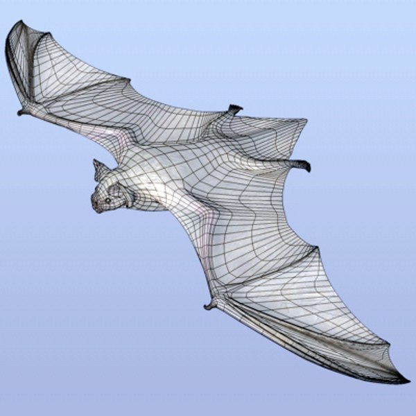 3d model vampire bat