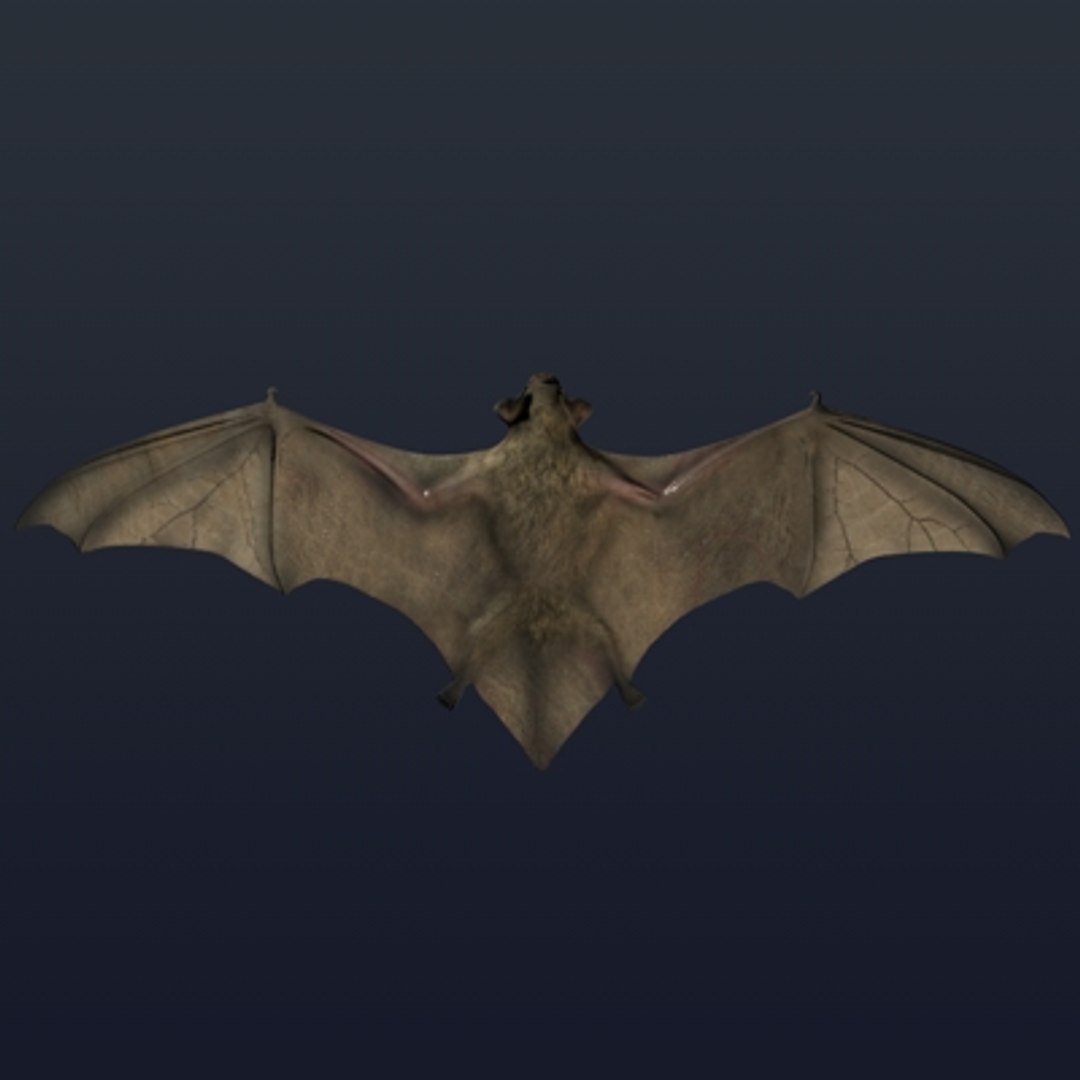 3d Model Vampire Bat
