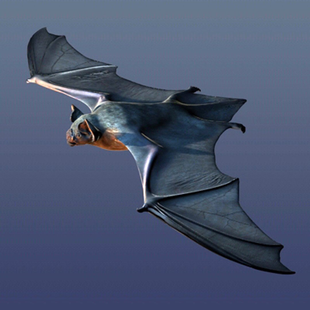 3d Model Vampire Bat