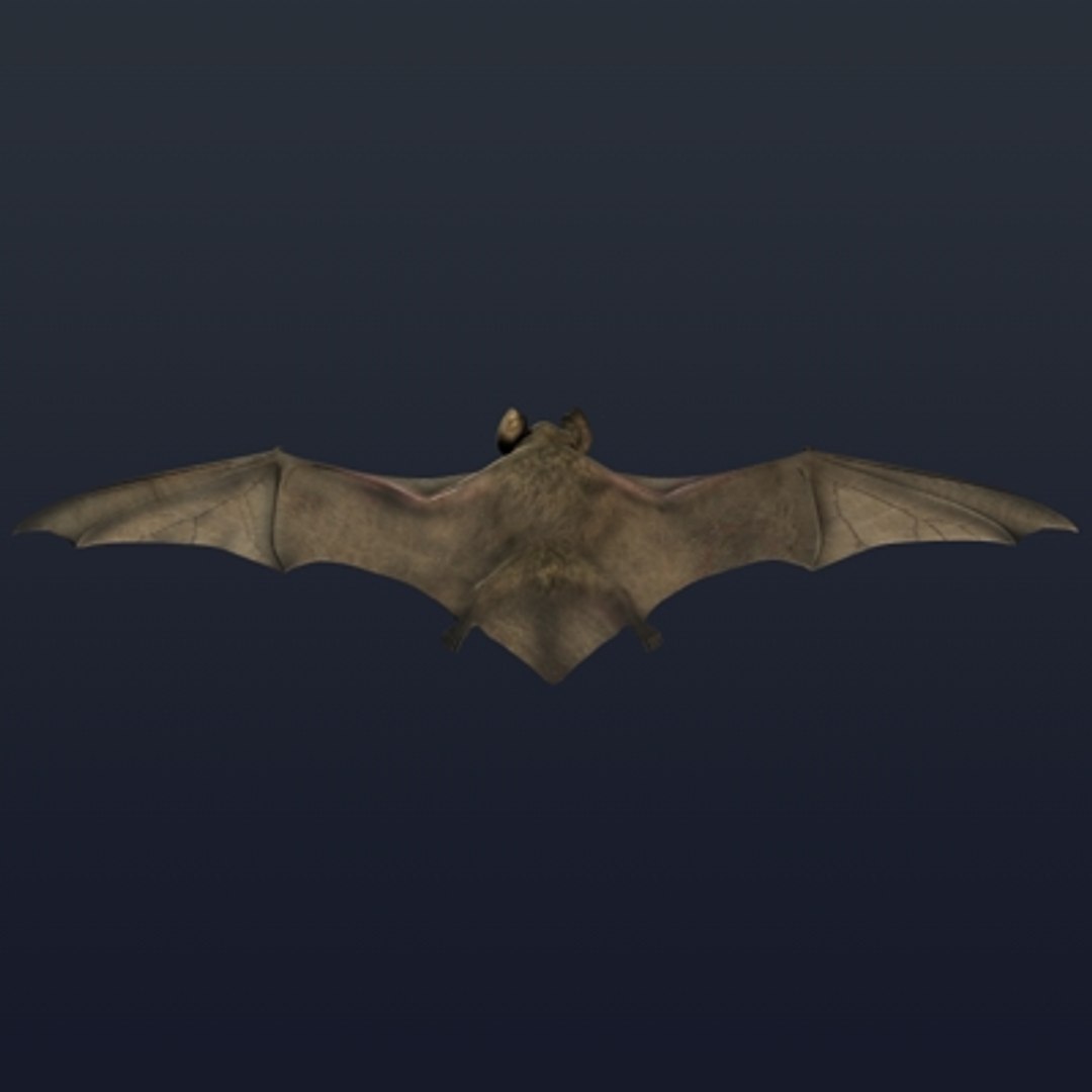 3d Model Vampire Bat