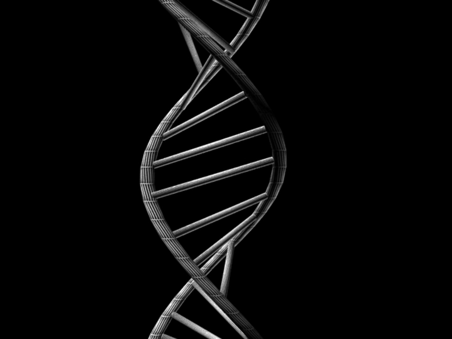 Free Dna 3D Model - TurboSquid 1497359