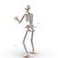 3d Human Skeletons Rigged