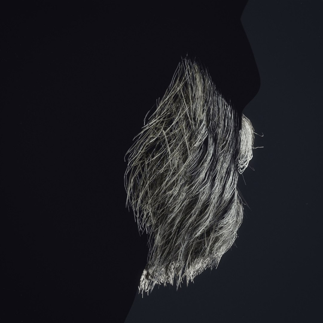 Beard RealTime 1 Version 1 3D Model - TurboSquid 1879656