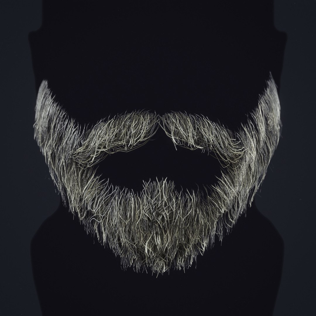 Beard RealTime 1 Version 1 3D Model - TurboSquid 1879656