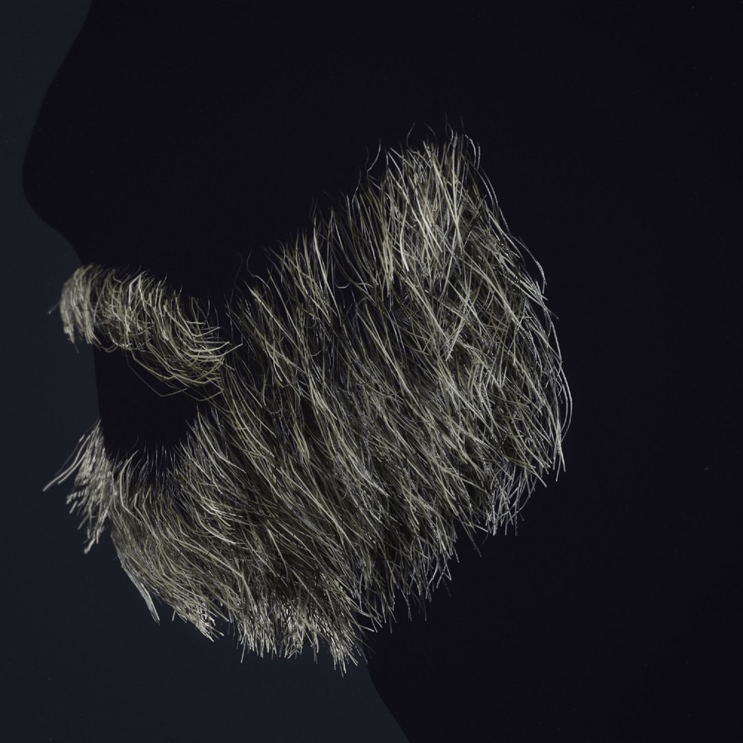 Beard RealTime 1 Version 1 3D Model - TurboSquid 1879656