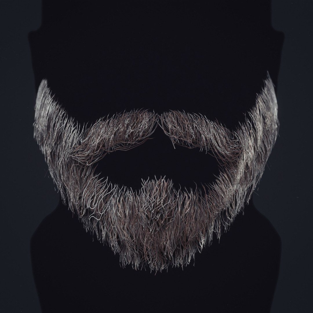 Beard RealTime 1 Version 1 3D Model - TurboSquid 1879656