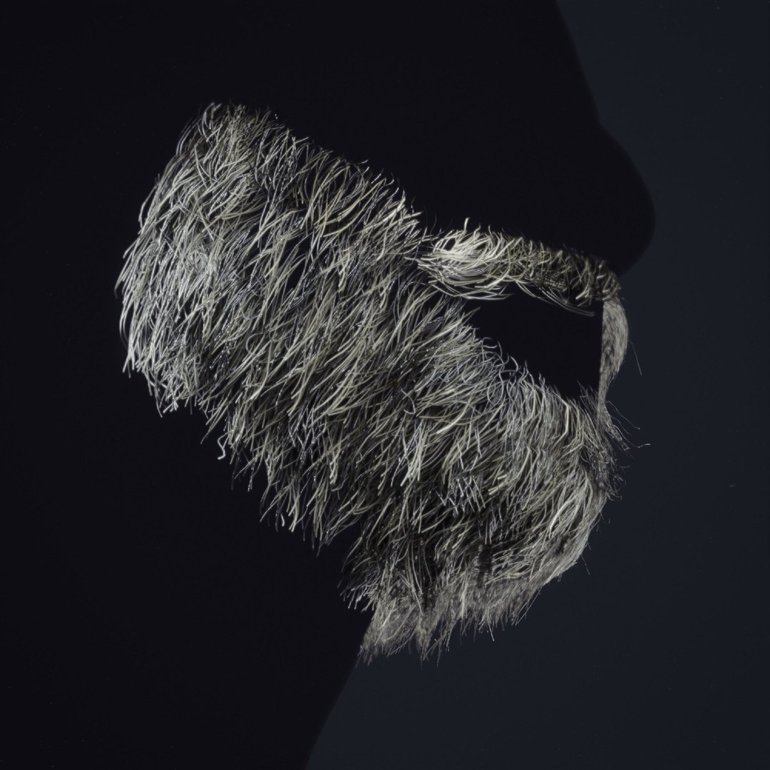 Beard RealTime 1 Version 1 3D Model - TurboSquid 1879656