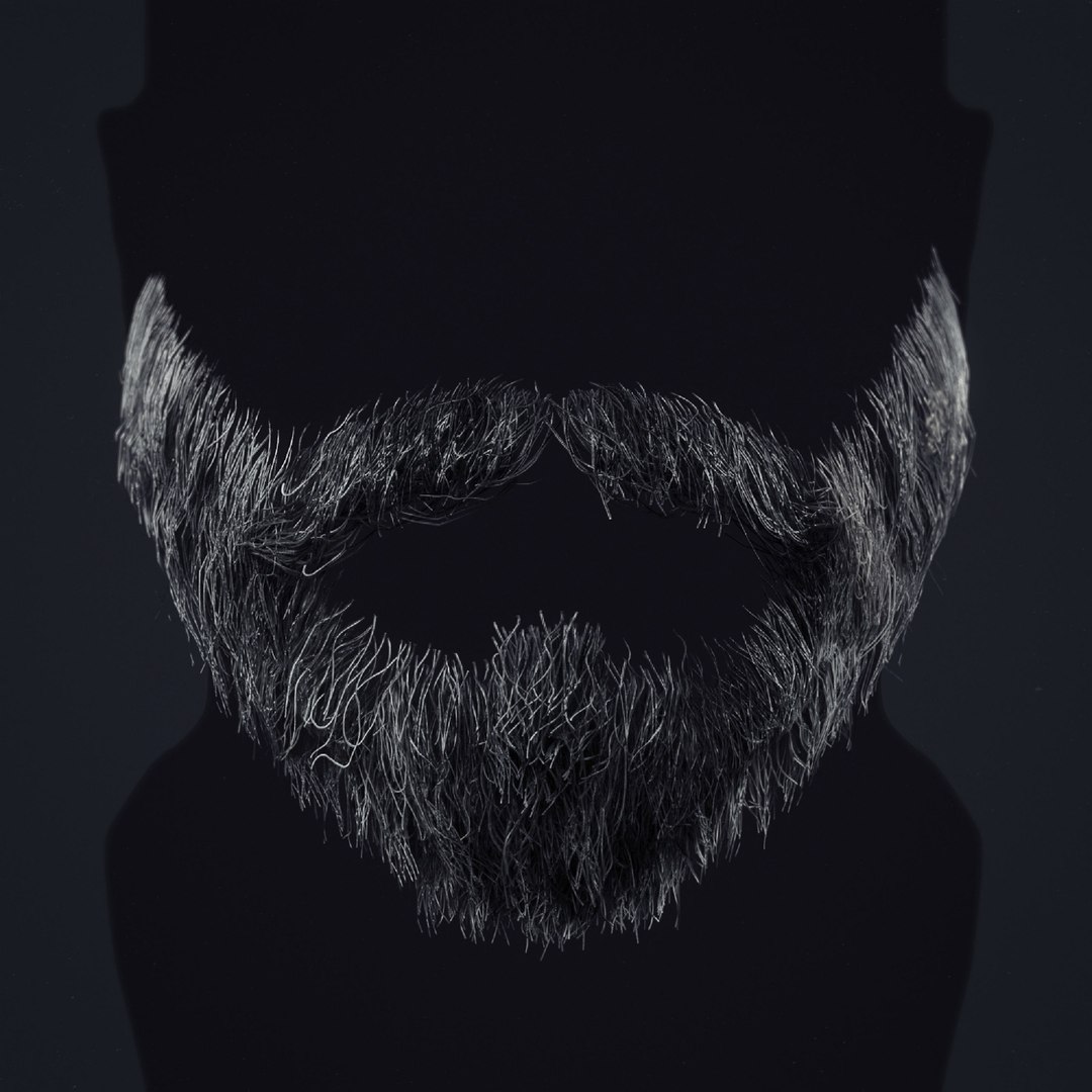Beard RealTime 1 Version 1 3D Model - TurboSquid 1879656