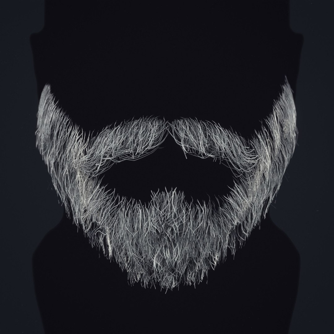 Beard RealTime 1 Version 1 3D Model - TurboSquid 1879656