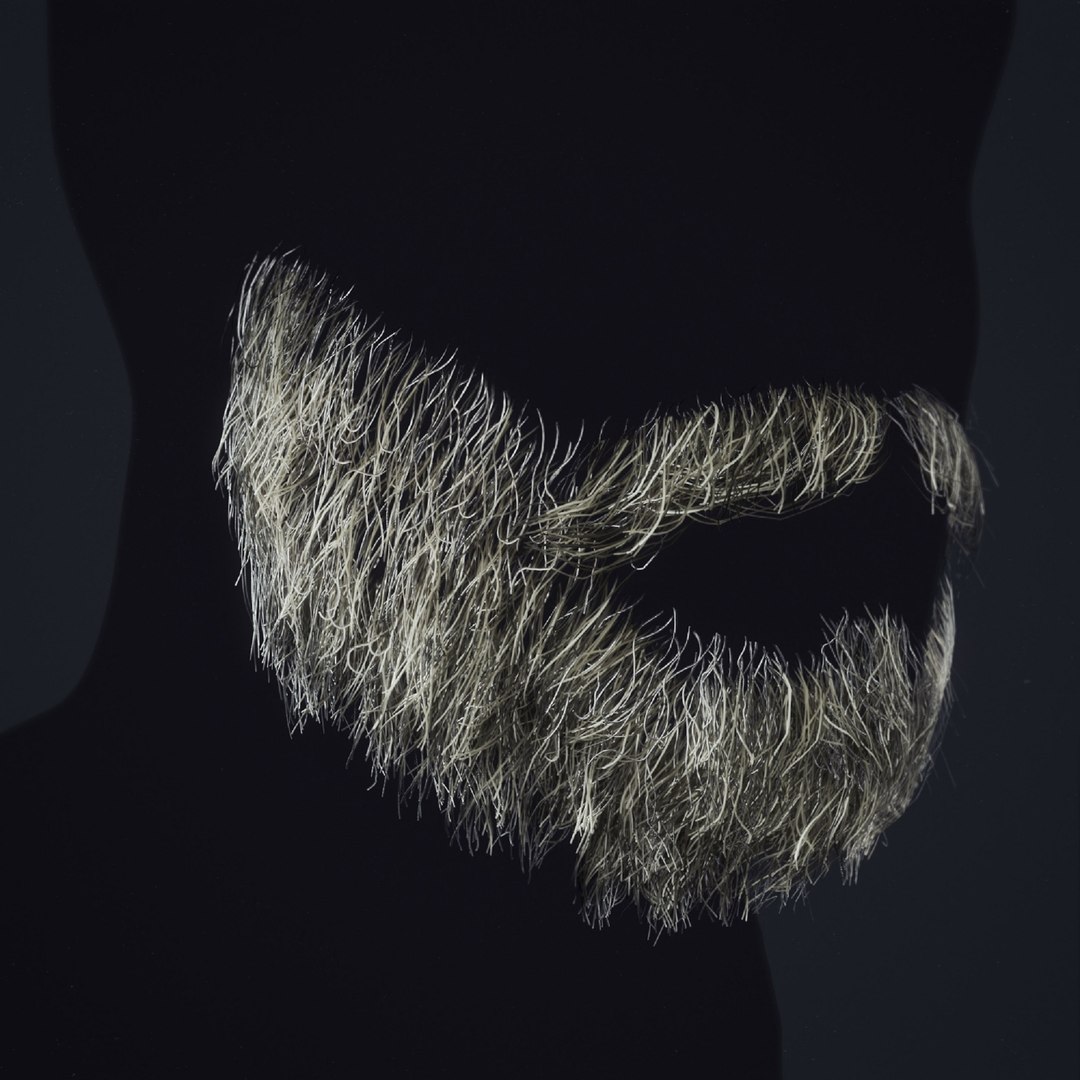 Beard RealTime 1 Version 1 3D Model - TurboSquid 1879656
