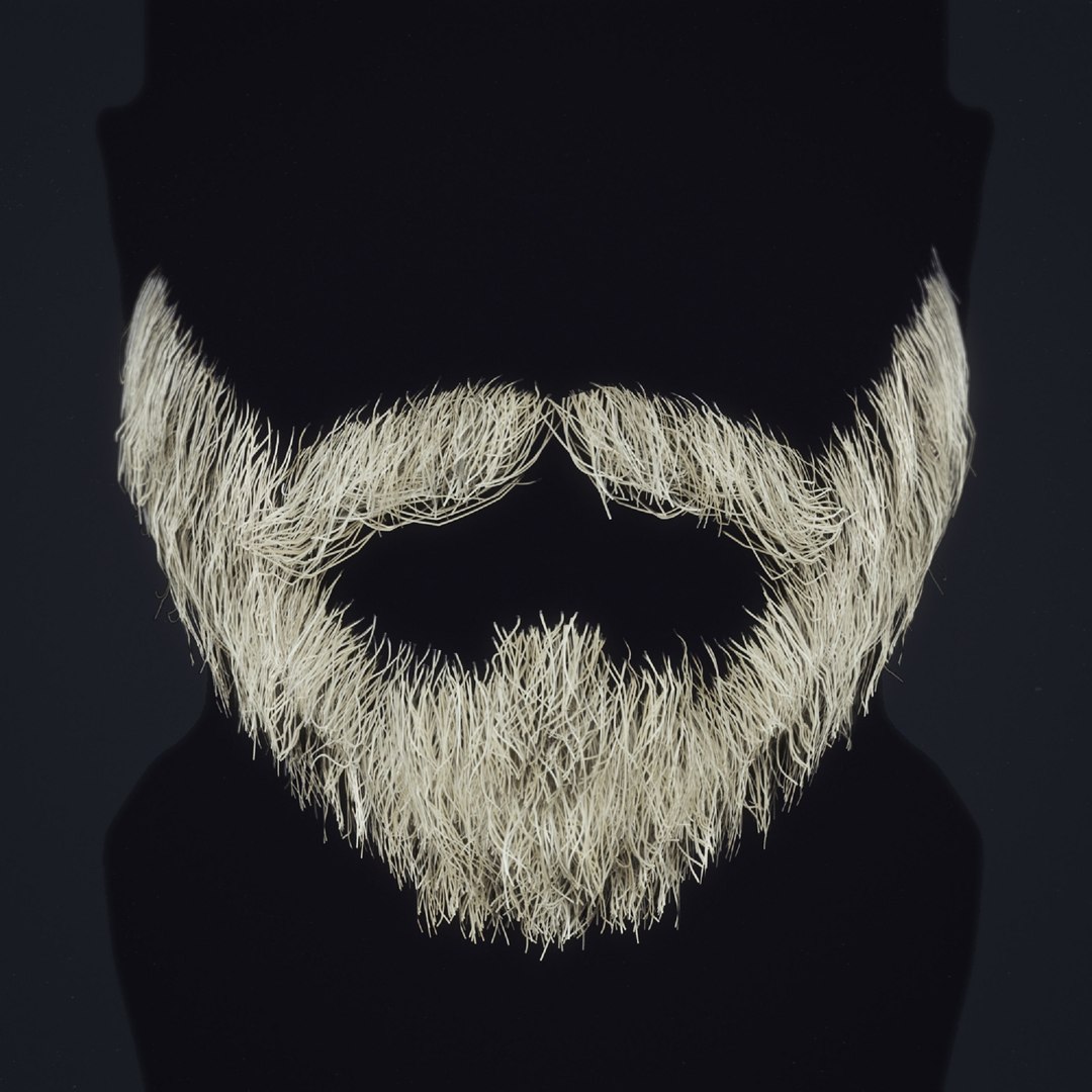 Beard RealTime 1 Version 1 3D Model - TurboSquid 1879656