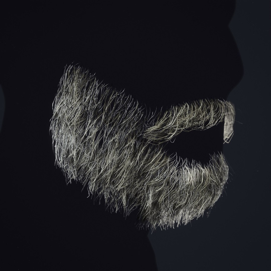 Beard RealTime 1 Version 1 3D Model - TurboSquid 1879656