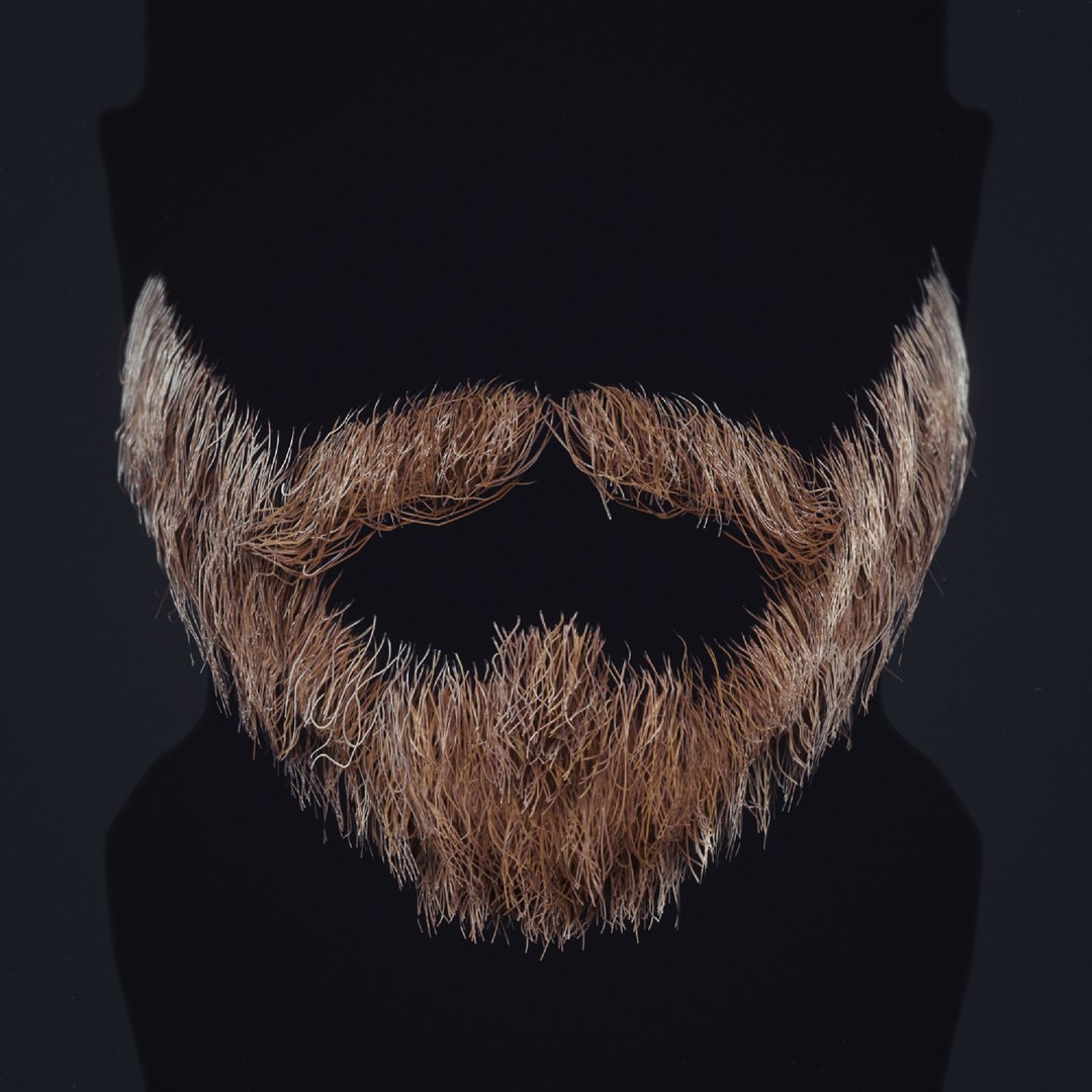 Beard RealTime 1 Version 1 3D Model - TurboSquid 1879656