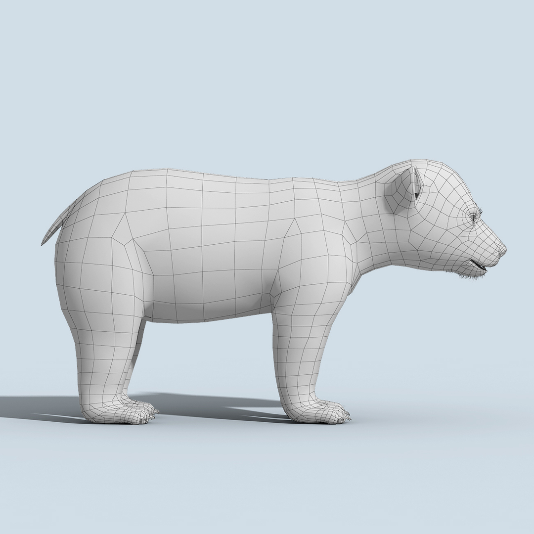 3d polar bear baby rigged model